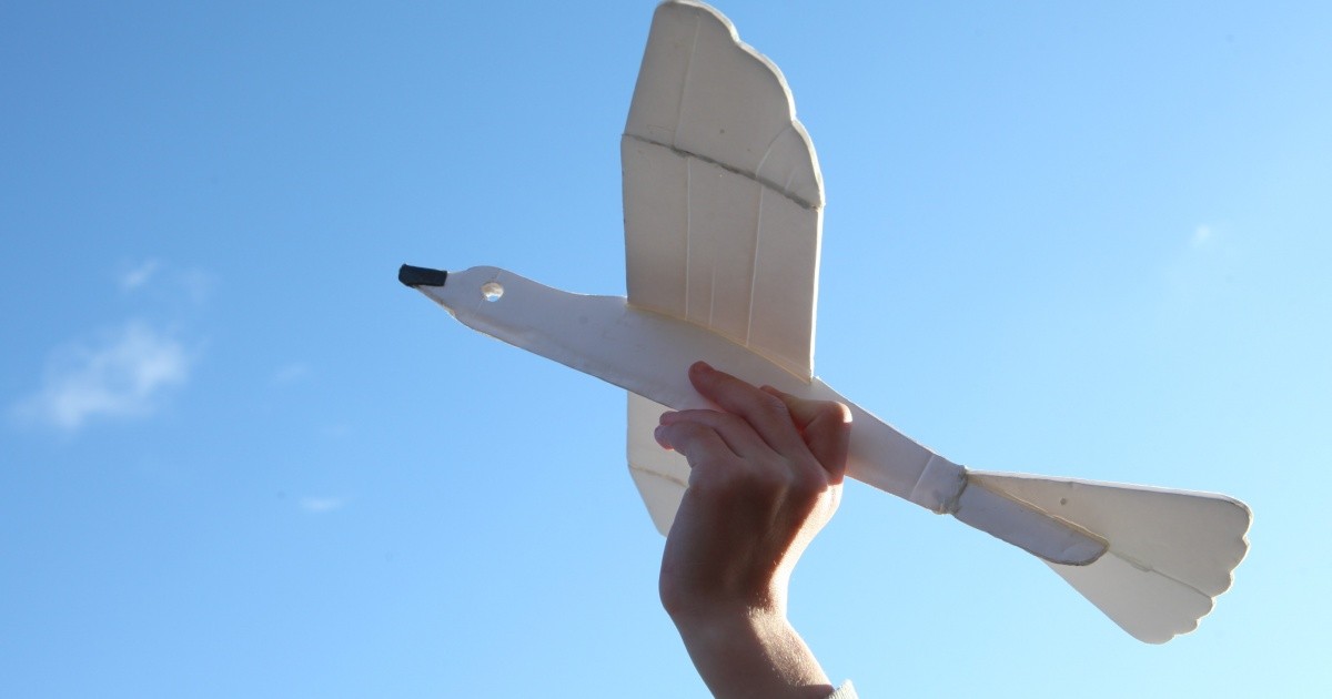 Bauplan: Gleitflieger "Möwe"