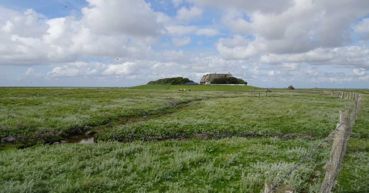 Was ist eine Hallig?