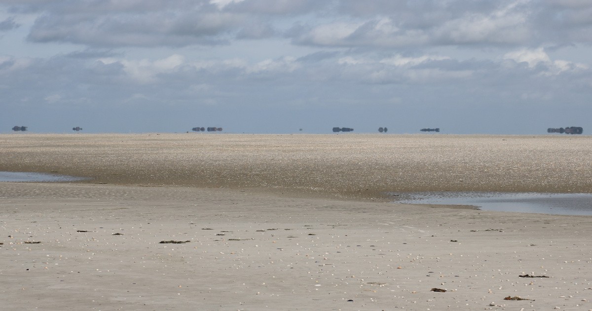Was ist eine Hallig?