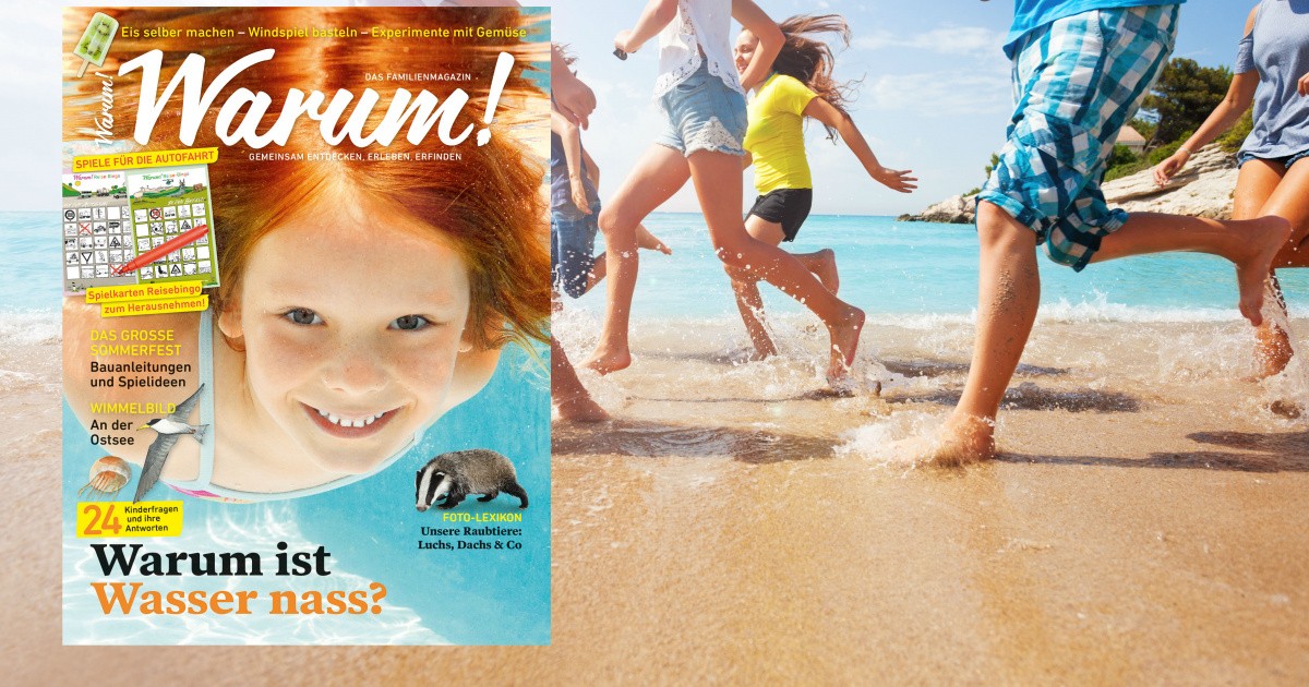 Warum!-Sommerausgabe 2/2018